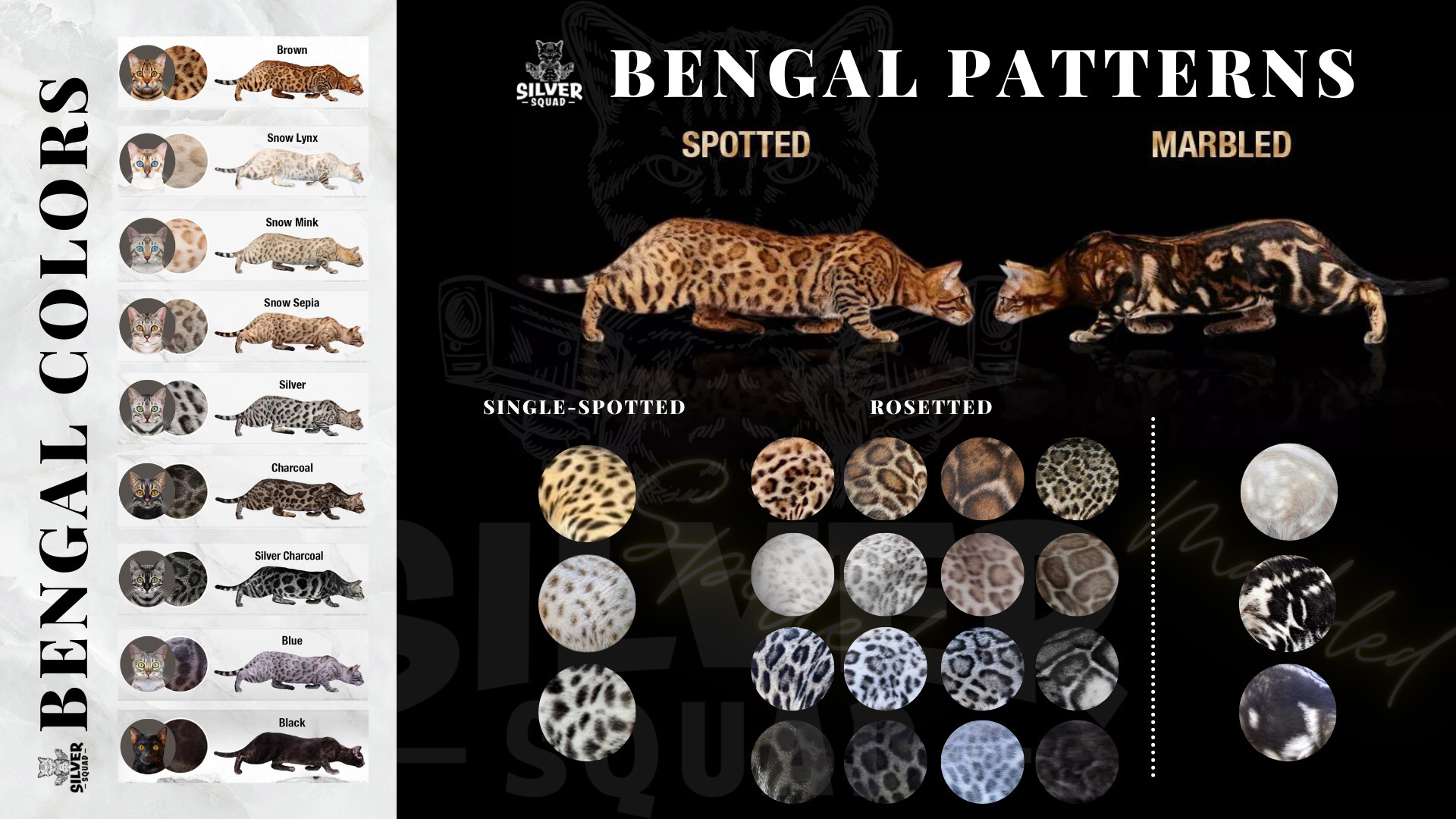 Bengal Patterns By Silversquad